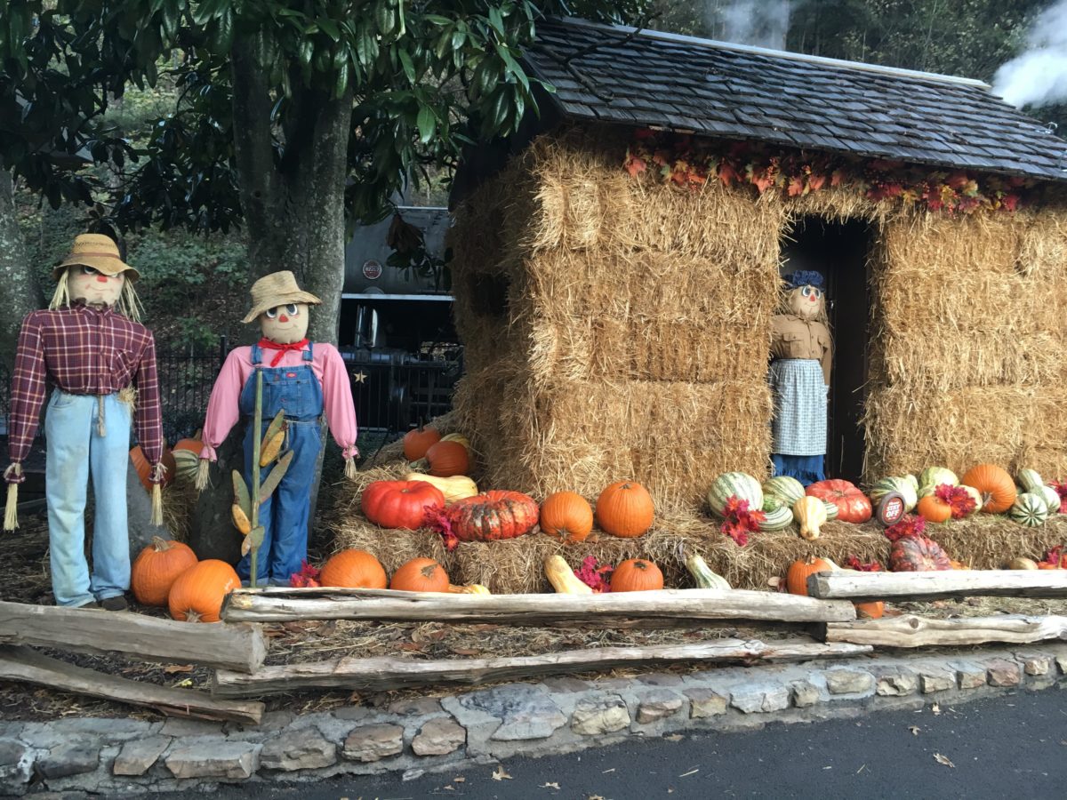 Dollywood Harvest Festival Guide 2023 | Green Vacation Deals