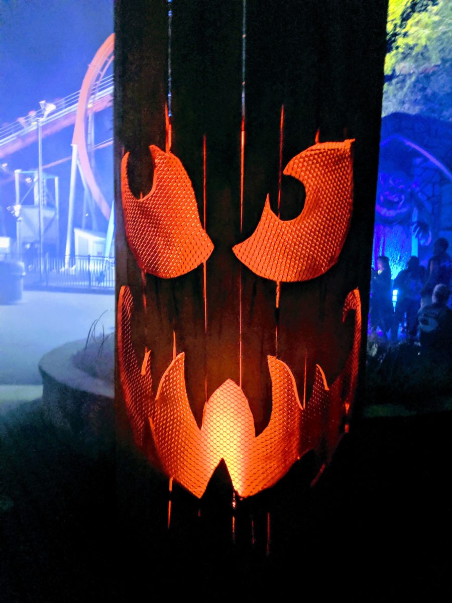 Virtual Tour of SCarowinds Attractions & Theming | Green Vacation Deals