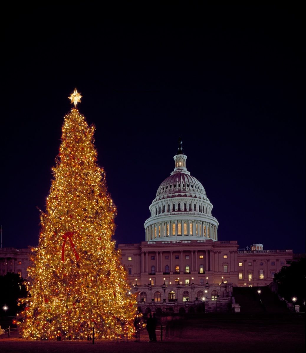Washington, D.C., Christmas Lights Tour Coupon | Green Vacation Deals