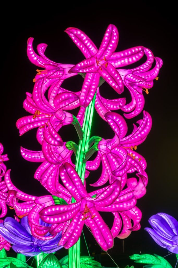 Coupon For International Winter Wonderland & Skyview Atlanta | Green ...