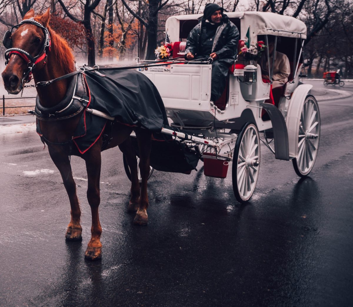 Oklahoma City Carriage Rides Coupon | Green Vacation Deals