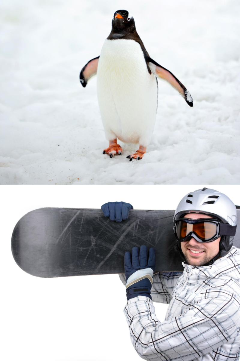 Ski Egypt Offers | Green Vacation Deals