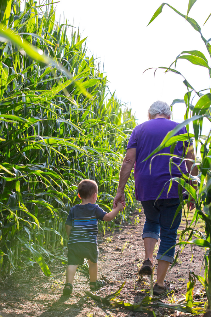Corn Maze Kernersville NC Coupon | Green Vacation Deals