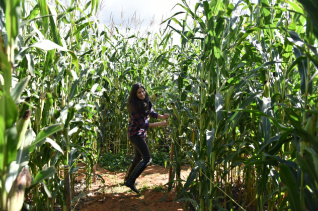Fleitz Pumpkin Farm Oregon Ohio Coupon | Green Vacation Deals