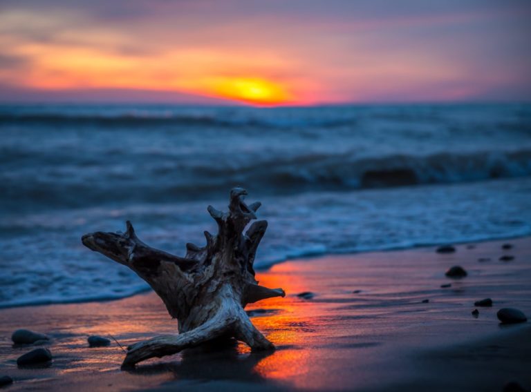 Best Loved Beach Hotels In Wisconsin | Green Vacation Deals