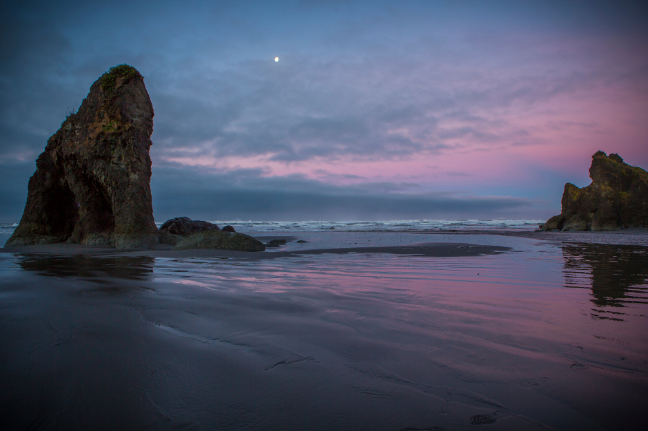 Best Loved Beach Hotels in Washington | Green Vacation Deals