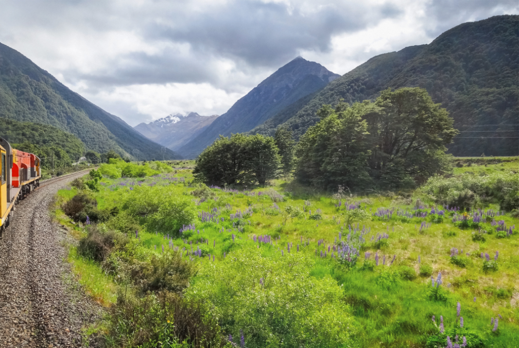 TranzAlpine Scenic Train Christchurch to Greymouth Discount Code ...