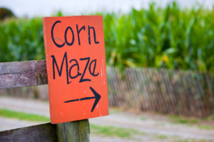 Fresh Acres Corn Maze Monticello MN Coupon Code | Green Vacation Deals