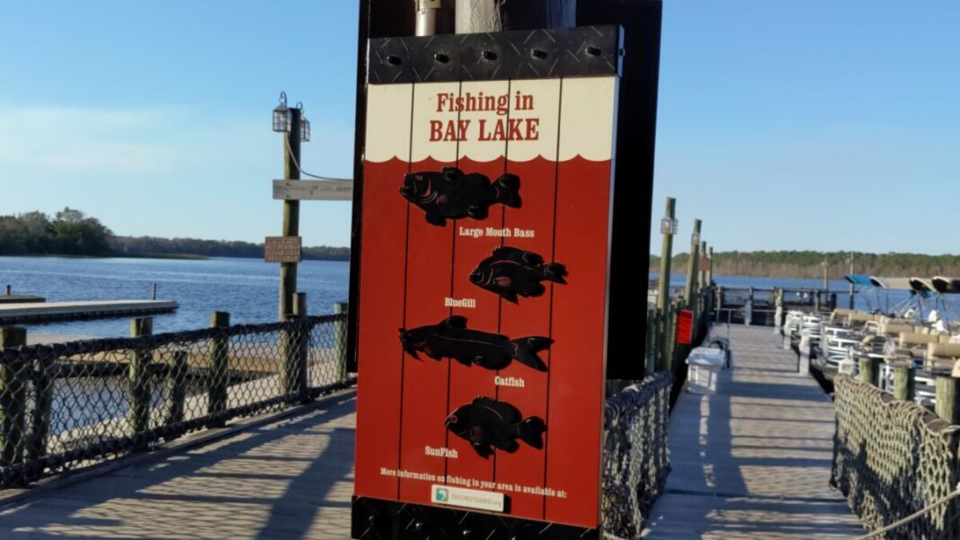 Can You Fish at Disney World? | Green Vacation Deals