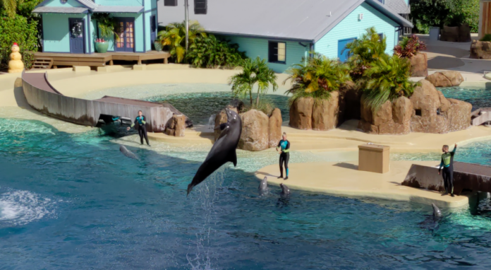 Win A Trip To SeaWorld Orlando Florida | Green Vacation Deals