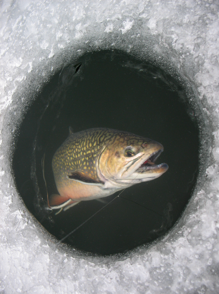 Pyeongchang Trout Festival Ice Fishing Tour Promo Code | Green Vacation ...