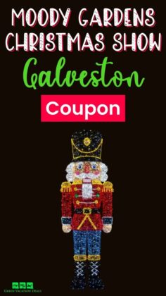 Promo Code For Moody Gardens Christmas Show In Galveston | Green ...